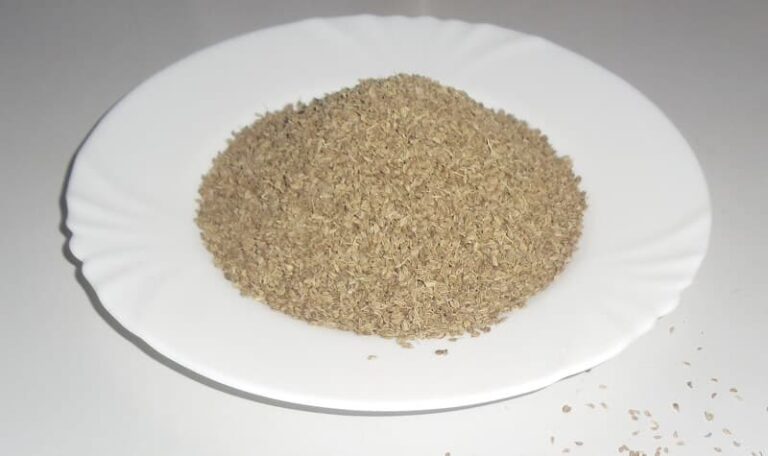 Top 10 Health and Medicinal benefits of Ajwain