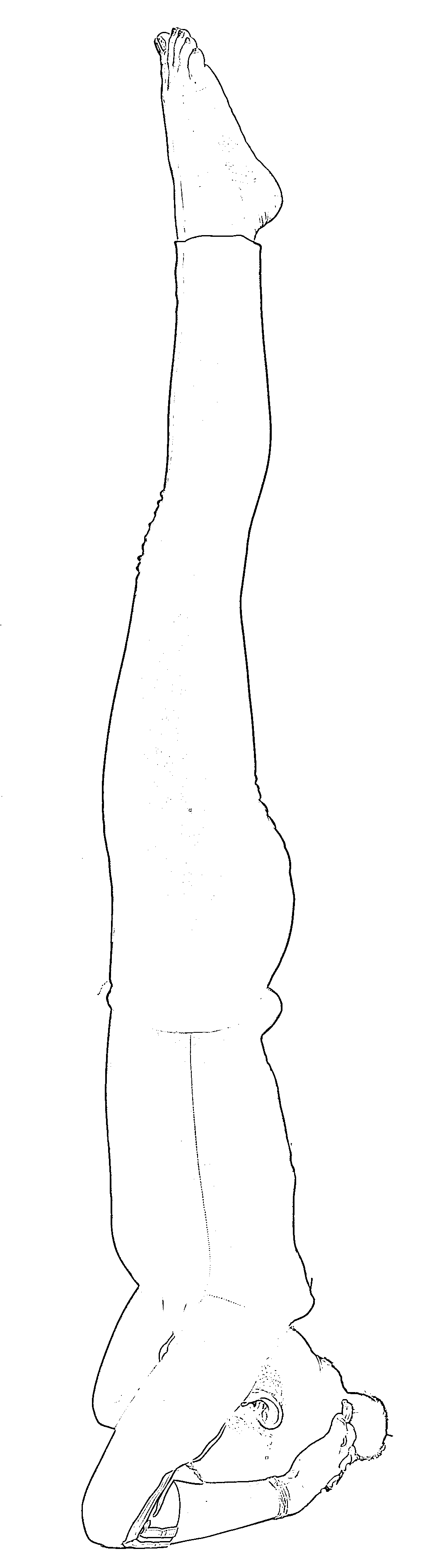 Headstand Yoga Pose (Sirsasana) Steps, Benefits and Precautions