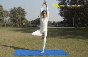 Vrikshasana (Tree Pose Yoga) Steps, Health Benefits and Precautions
