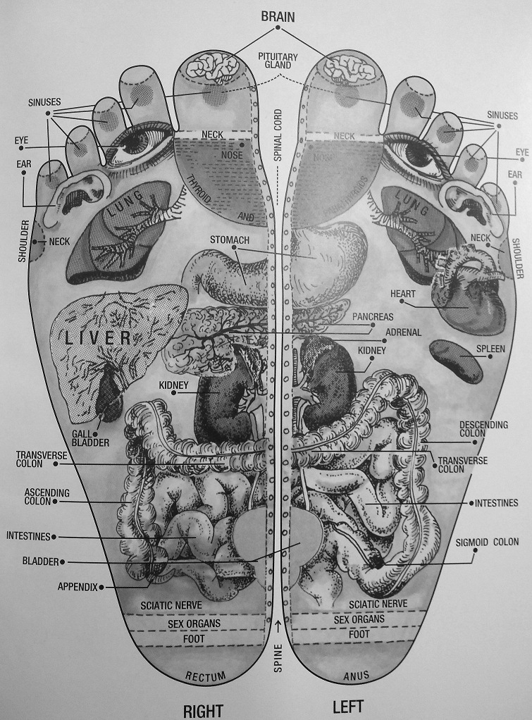 Know Reflex Points on Your Body from Toes to Head