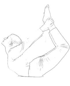 Bow Pose (Dhanurasana) Steps, Health Benefits and Precautions