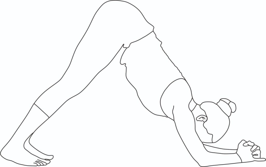 Dolphin Pose Yoga Procedures, Benefits and Contraindications